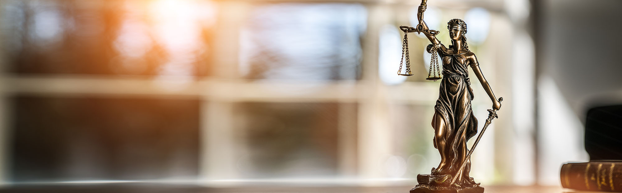 Legal Matters Division | Reggae Embassy