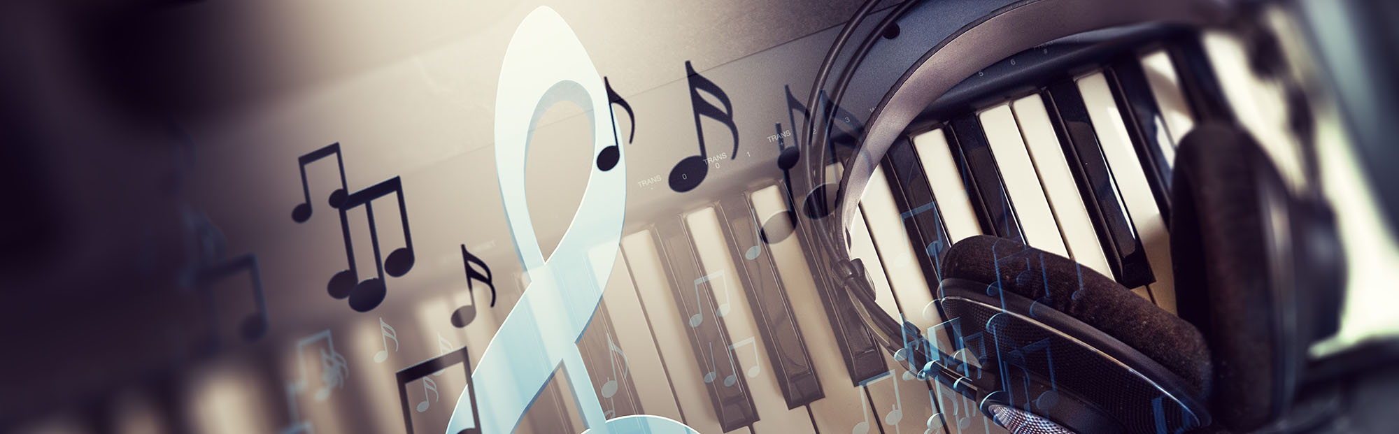 Press Request | Reggae Embassy