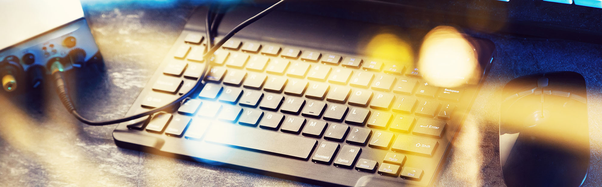 Apply for Employment | Reggae Embassy